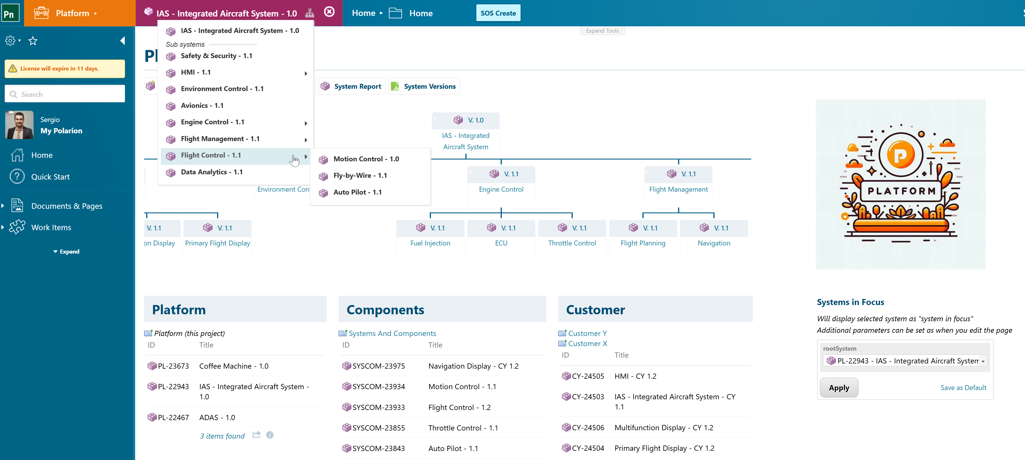 Polarion Extensions